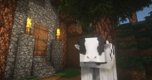 Bedless Noob Texture Pack 500k Free Download and Review