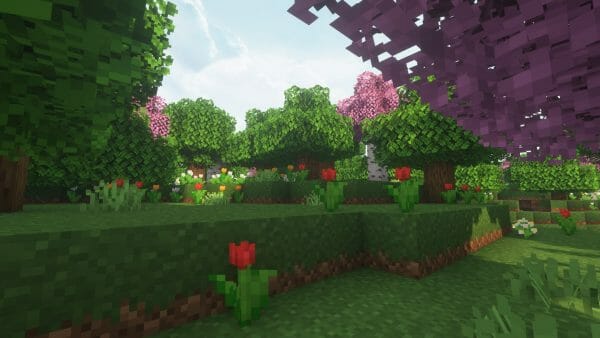 Xali's Bushy Leaves 1.19.2 Texture Pack Free Download